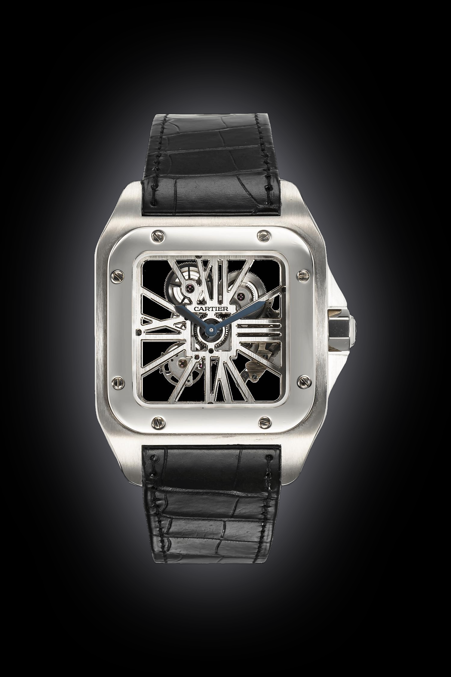 Cartier Santos 100 W202 Skeleton Dial, Palladium, Leather, Men's Watch